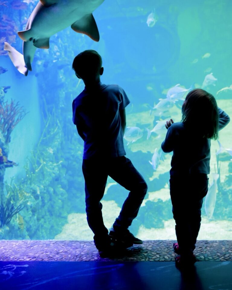 Indoor Winter Activities for Kids on Long Island – Going Local Long Island
